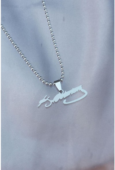 Clariss Çelik Uçlu Atatürk Imzalı Gümüş Renk Zincir Kolye Clariss Çelik Uçlu Atatürk Imzalı Gümüş Renk Zincir Kolye