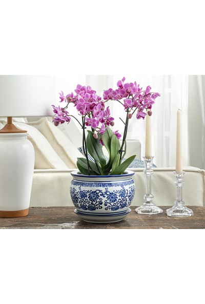 English Home Nelson Porselen Saksı 20X20X15,5 cm Mavi-Beyaz