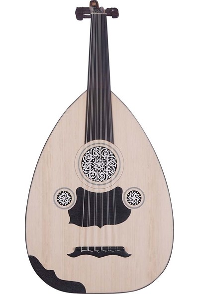 Ug Ugar Maun Ceviz Ağacı Türk Udu