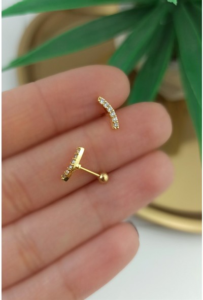 ÇLK Accessories 316 Cerrahi Çelik Sıralı Taş Piercing TRPIERCING0146