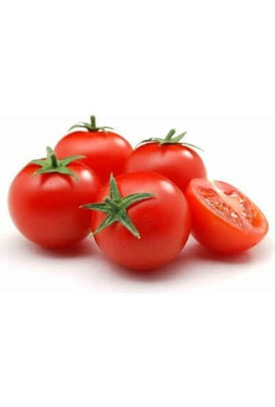 Fidanistanbul Cherry Domates Fidesi 10 Adet Fidanistanbul Cherry Domates Fidesi 10 Adet