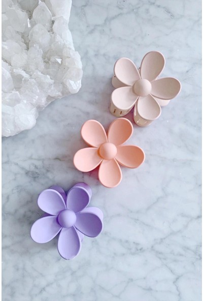 Bahels Trend 3'lü Pastel Renk Papatya Çiçek Mandal Toka Seti