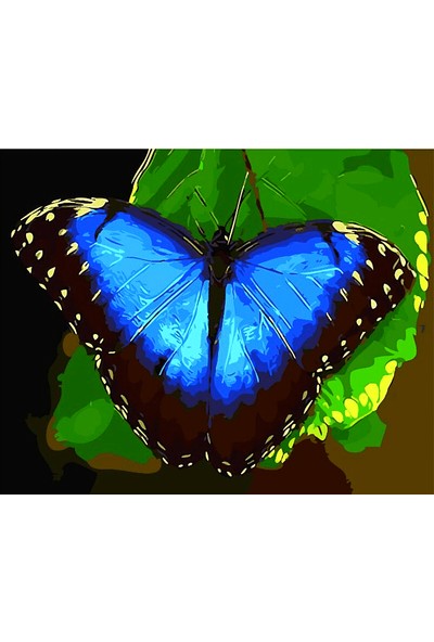 Hobi Tedarik Doğada Mavi Kelebek Çerçeveli 40 x 50 cm Sayılarla Boyama Hobi Seti
