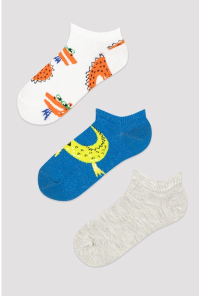 Penti Çok Renkli Erkek Çocuk Safari 3lü Patik Çorap