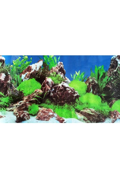 Canlipetshop Arka Fon 50 cm Uzunluk Yükseklik 50 cm No 9028 Canlipetshop Arka Fon 50 cm Uzunluk Yükseklik 50 cm No 9028