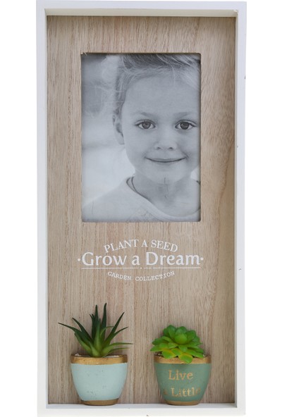 Boyner Evde 2 Photo 2 Plants Saksılı Çerçeve