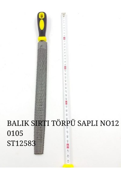 Komodo Balık Sırtı Törpü 12 Komodo Balık Sırtı Törpü 12