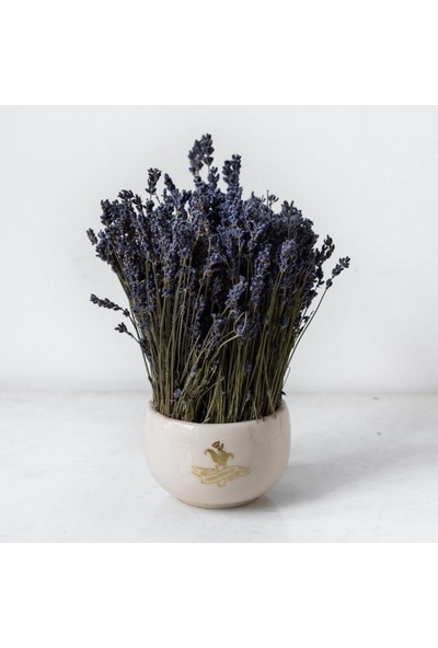 Homemade Seramikte Lavantalar