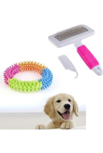 Turkish A2Z Evcil Hayvan Kedi Köpek Telli Tüy Tarama Kaşıma Fırçası Tarağı ve Köpek Diş Temizleyici Oyuncak Turkish A2Z Evcil Hayvan Kedi Köpek Telli Tüy Tarama Kaşıma Fırçası Tarağı ve Köpek Diş Temizleyici Oyuncak