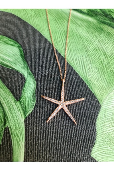 Mooije Silver Kutup Yıldızı Rose Gümüş Kolye Mooije Silver Kutup Yıldızı Rose Gümüş Kolye