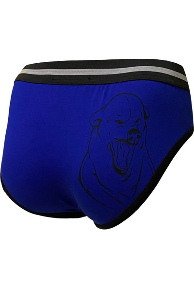 Turcobear Xcollection Bear Baskılı Slip