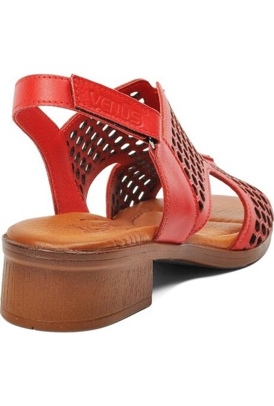 Venüs Kırmızı Hakiki Deri Kadın Sandalet