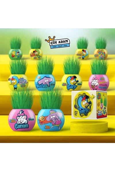 Kral Şakir 4 Adet Çim Adam Seti Kral Şakir 4 Adet Çim Adam Seti