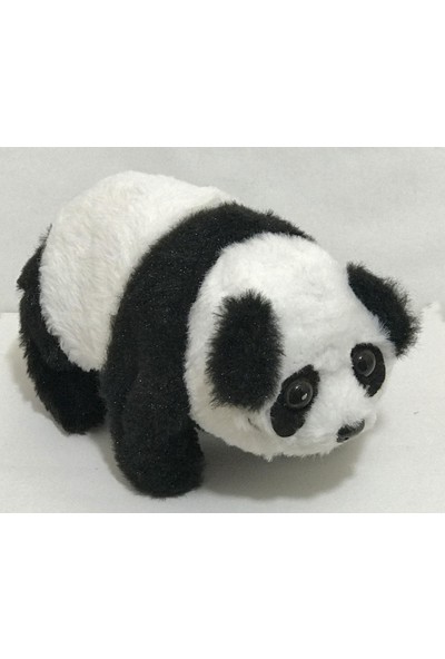 Can Toys Şarkı Söyleyerek Yürüyen Peluş Panda Oyuncak -- Pil Hediyeli -- Can Toys Şarkı Söyleyerek Yürüyen Peluş Panda Oyuncak -- Pil Hediyeli --