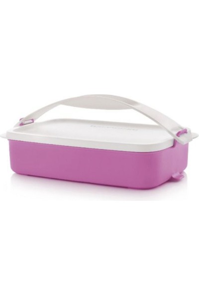 Tupperware Gezgin Kap 900 ml Saklama Taşıma Esc Tupperware Gezgin Kap 900 ml Saklama Taşıma Esc