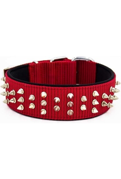 Red Dingo Doggie Comfort Dokuma Bol Çivili Köpek Boyun Tasması Small Kırmızı 5X50-60 cm Red Dingo Doggie Comfort Dokuma Bol Çivili Köpek Boyun Tasması Small Kırmızı 5X50-60 cm