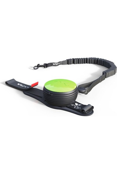 Royalist Lishinu Akıllı Kontrol Bungee Köpek Gezdirme Tasması Yeşil L 13-40 kg