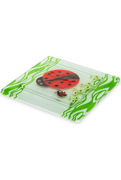 Amazeus Banyo Gider Kapağı Cam Amazeus Banyo Gider Kapağı Cam