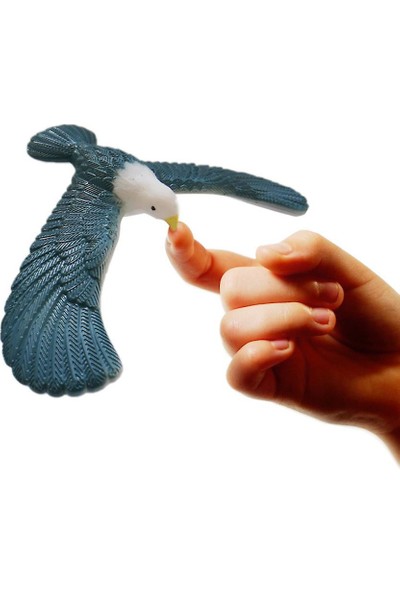 Denge Kartal Dekompresyon Bilim Eğitimi Süsler Çocuk Oyuncakları