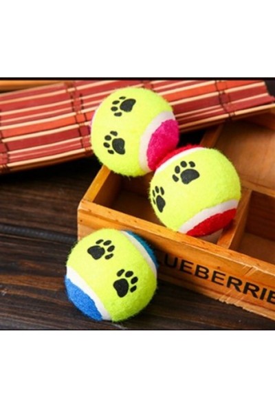 Ega Toptan At Getir Köpek Eğitim Topu Ega Toptan At Getir Köpek Eğitim Topu