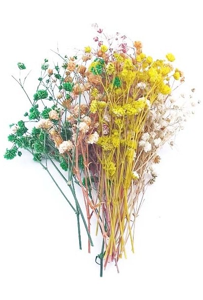 Getshopmini Kurutulmuş Çiçek Cipso Karışık