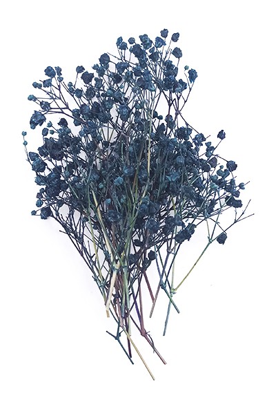 Getshopmini Kurutulmuş Çiçek Cipso Lacivert