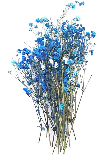 Getshopmini Kurutulmuş Çiçek Cipso Mavi