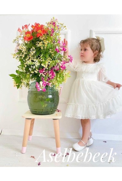 Asel Aselbebeek Beyaz Renk Incili Kız Bebek Elbise