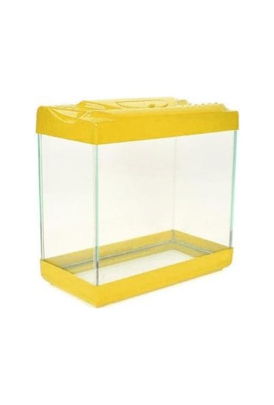 Dayıpet Mini Akvaryum Sarı Renk Dayıpet Mini Akvaryum Sarı Renk