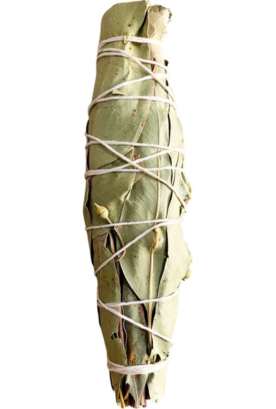 Kent Bahçesi 3 Lü Okaliptus Arınma Tütsü Seti Kent Bahçesi 3 Lü Okaliptus Arınma Tütsü Seti