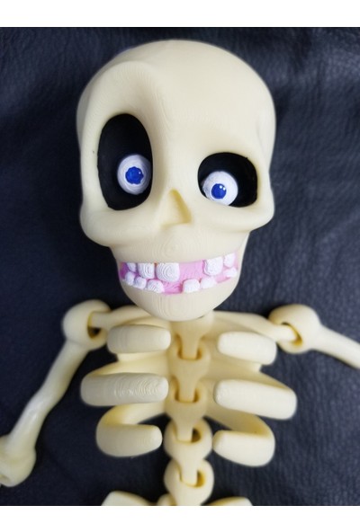 Cenfabt Büyük Boy Iskelet -Araba Süsü