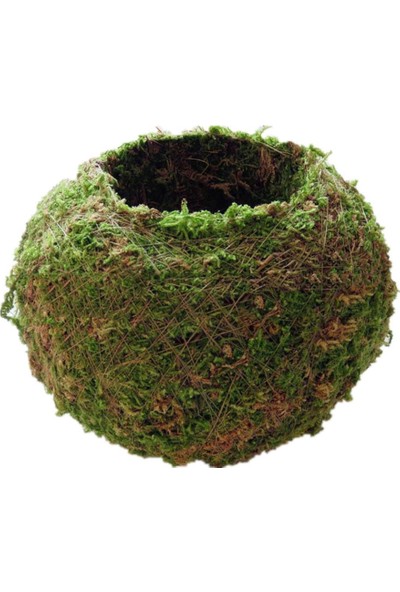 IENIN Yaratıcı Moss Dikim Topu Saksı Etli Bitki Pot Dekorasyon 18 cm (Yurt Dışından) IENIN Yaratıcı Moss Dikim Topu Saksı Etli Bitki Pot Dekorasyon 18 cm (Yurt Dışından)