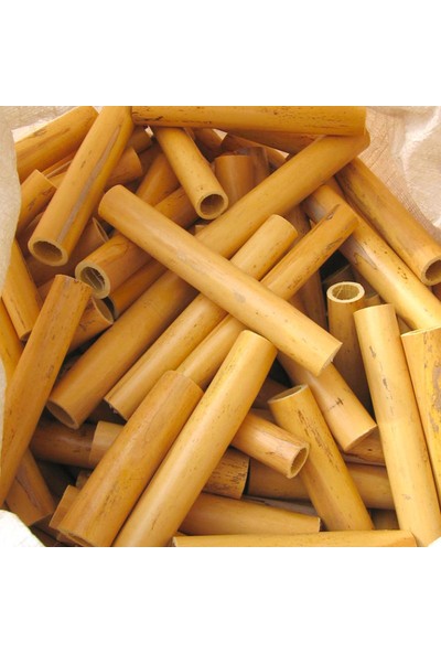 Canlı Petshop Y-Karides Yuvası ve Üretim Kamışı 5 Ad 8 cm Canlı Petshop Y-Karides Yuvası ve Üretim Kamışı 5 Ad 8 cm