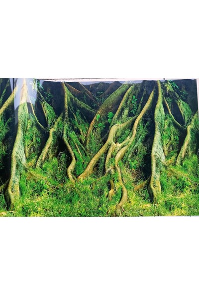 Canlı Petshop Arka Fon Yeşil Ağaç Kökü 50 cm Uzunluk Yükseklik 40 cm 8009 Canlı Petshop Arka Fon Yeşil Ağaç Kökü 50 cm Uzunluk Yükseklik 40 cm 8009