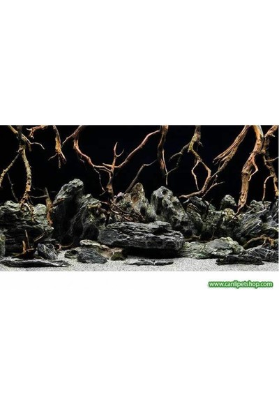 Canlı Petshop Arka Fon (Dipteki Gizem)50 cm Uzunluk Yükseklik 40 cm 11751