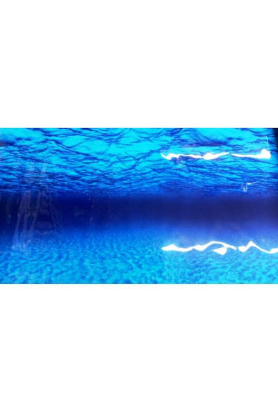 Canlı Petshop Arka Fon (Sudaki Derinlik) 50 cm Uzunluk Yükseklik 80 cm 9046