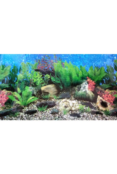 Canlı Petshop Arka Fon (Manzara-12) 50 cm Uzunluk Yükseklik 80 cm 9019