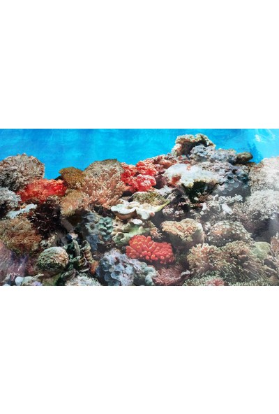 Canlı Petshop Arka Fon (Mercan Görünümlü-2) 50 cm Uzunluk Yükseklik 60 cm J54