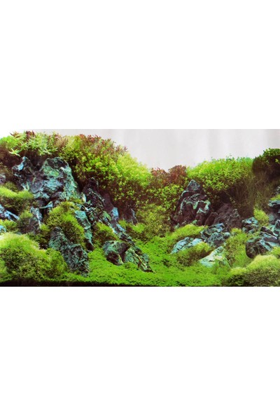 Canlı Petshop Arka Fon Bitkili Akvaryum Görünümlü 50 cm Uzunluk Yükseklik 80 cm No 9087 Canlı Petshop Arka Fon Bitkili Akvaryum Görünümlü 50 cm Uzunluk Yükseklik 80 cm No 9087