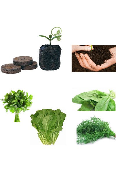 Yeşillik Yetiştirme Seti - 4 Çeşit Tohum, Çimlendirme Tableti ve Solucan Gübresi ile Yeşillik Yetiştirme Seti - 4 Çeşit Tohum, Çimlendirme Tableti ve Solucan Gübresi ile