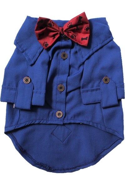 Pawstar Papyonlu Sax Mavi Küçük Irk Köpek Gömleği