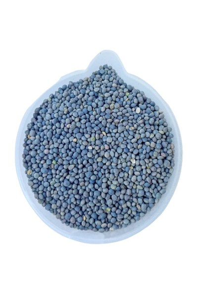 Özdemir Fi Tohumu 5 kg