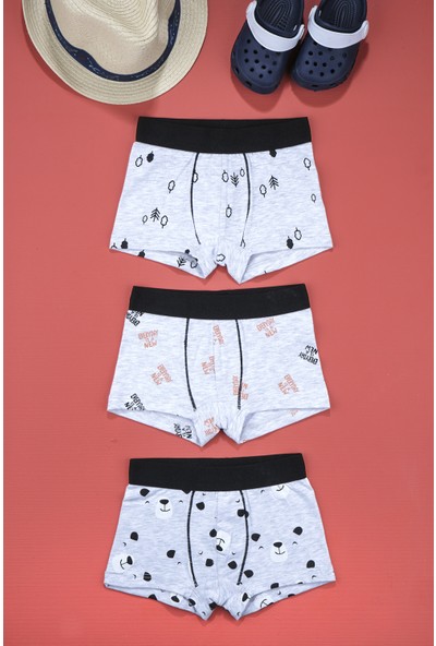 Çizgi Kids Erkek Çocuk %100 Pamuk Ayıcık Baskılı Gri Üçlü Boxer