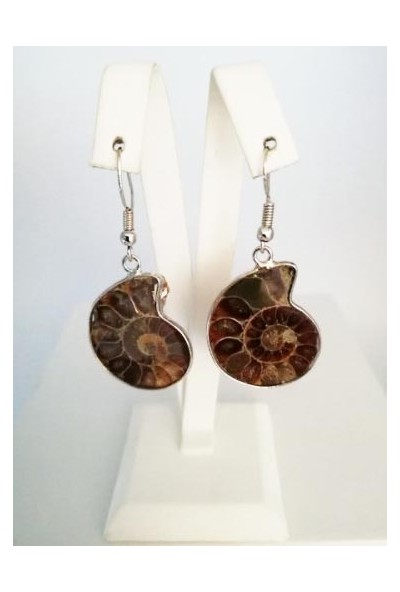 Doğan Doğaltaş Ammonite Fosil Küpe