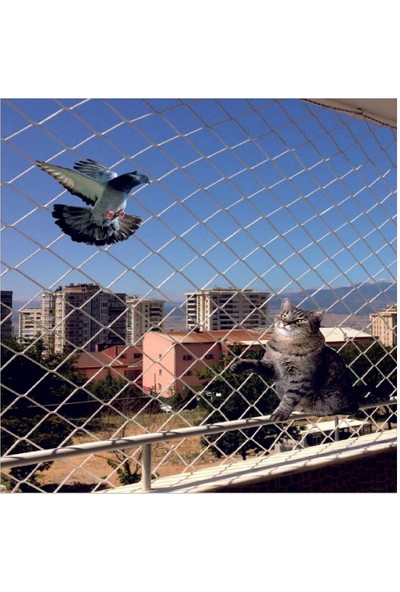 Azm Kuş Filesi 2,5x3 Metre Balkon Bahçe Sera Kuş Önleme Ağı Azm Kuş Filesi 2,5x3 Metre Balkon Bahçe Sera Kuş Önleme Ağı