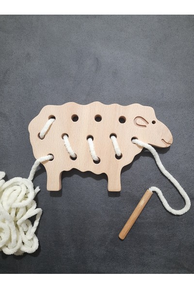 Mucit Eller Ip Geçirme Koyun