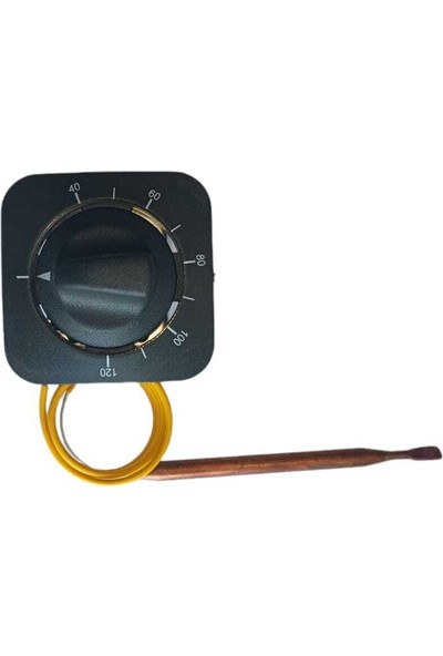 Tecasa Termostat - Çay Kazanı Isı Ölçer