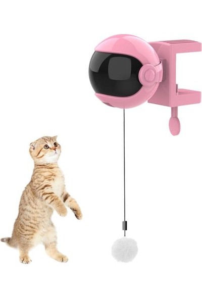 Xinhang Kedi Aktivite Oyuncağı (Yurt Dışından) Xinhang Kedi Aktivite Oyuncağı (Yurt Dışından)