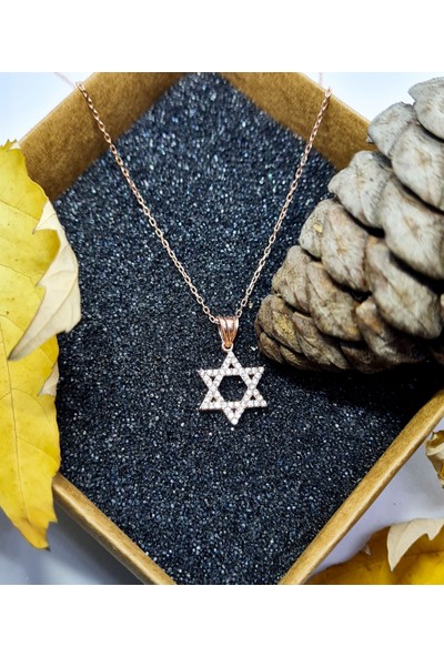 Swelynn Yıldız Desenli 925 Ayar Gümüş Kadın Kolye