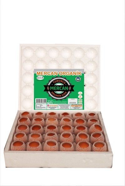 Mercan Organik 30'lu Orta Boy (53-62GR) Organik Yumurta Mercan Organik 30'lu Orta Boy (53-62GR) Organik Yumurta